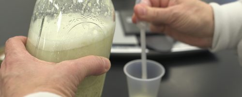 Pioneering GMO and mycotoxin testing technologies - EnviroLogix