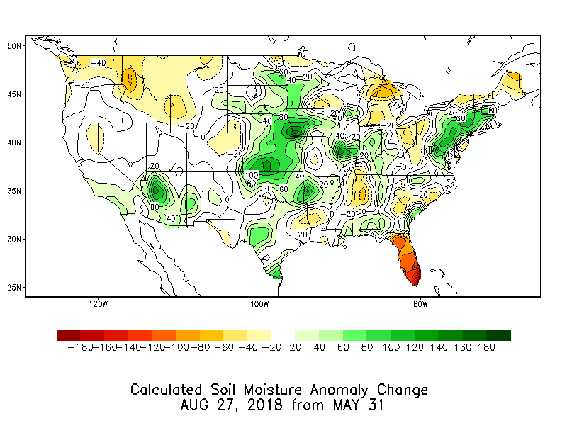 Poor Corn Conditions + Moisture = Mycotoxin Contamination Risk ...